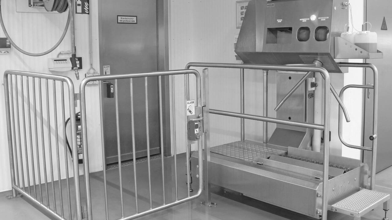 Industrietore & Industriegeländer aus rostfreiem Edelstahl: Mohn GmbH